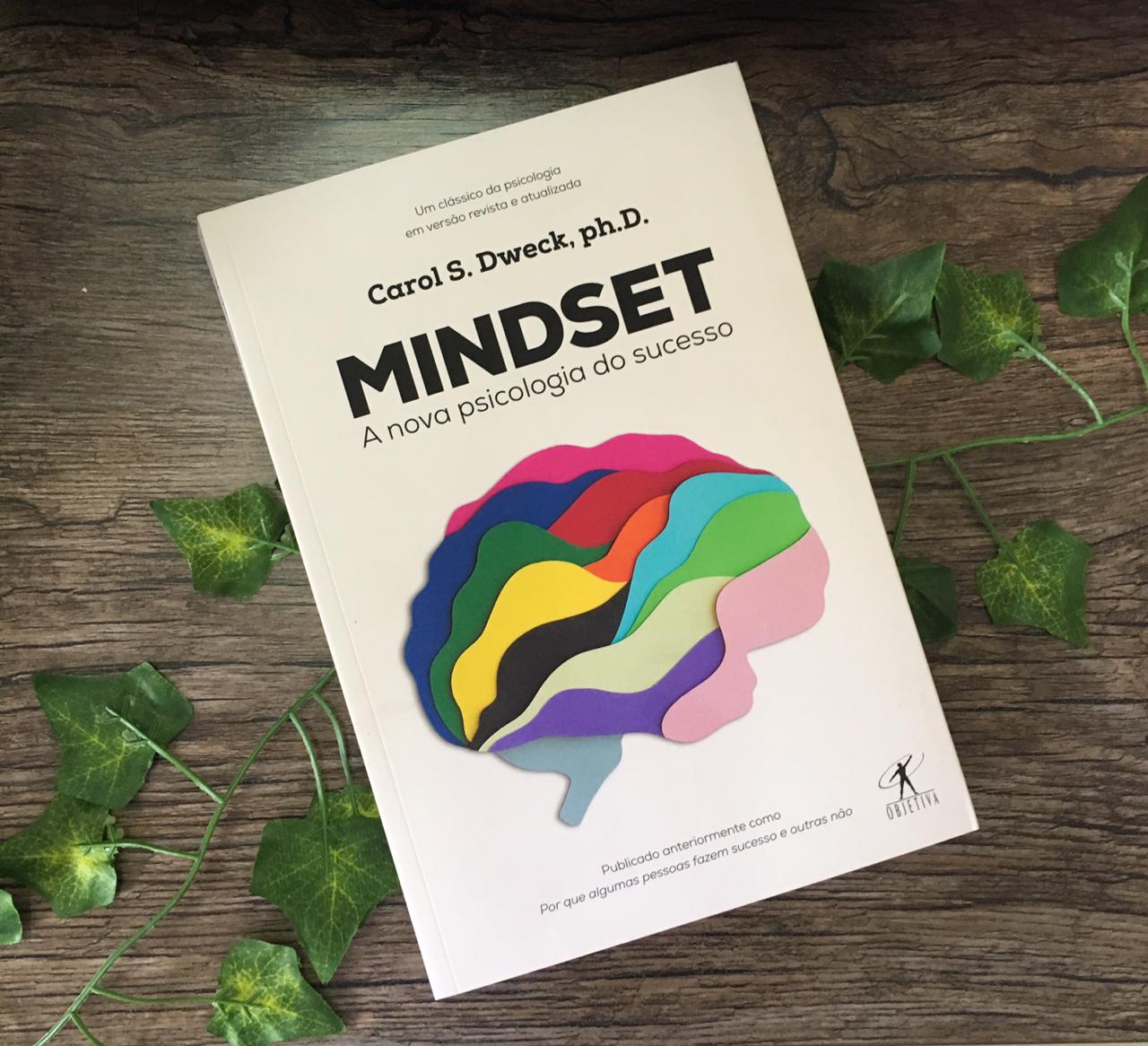RESUMO – “Mindset: A Nova Psicologia do Sucesso” – Instituto Rodrigo ...